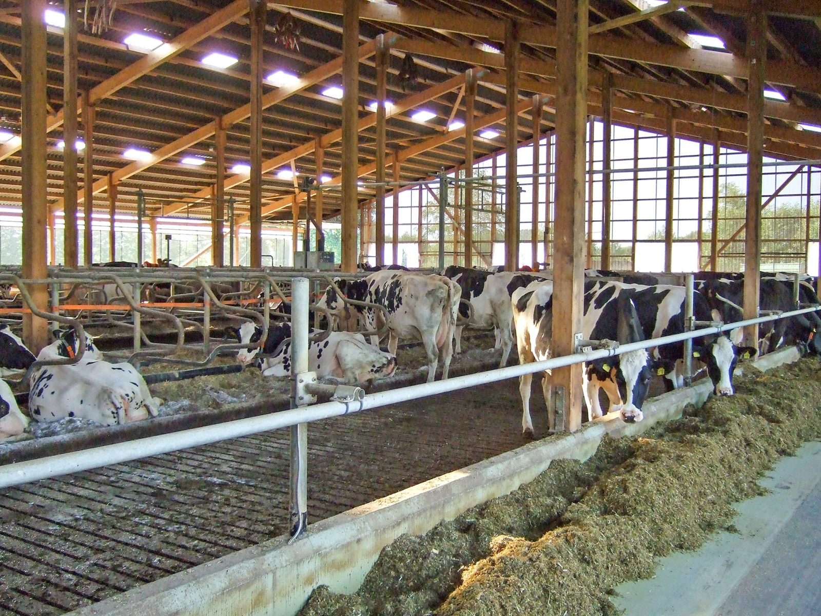 Der Roboter kennt jede Kuh - Bauernblatt Schleswig-Holstein