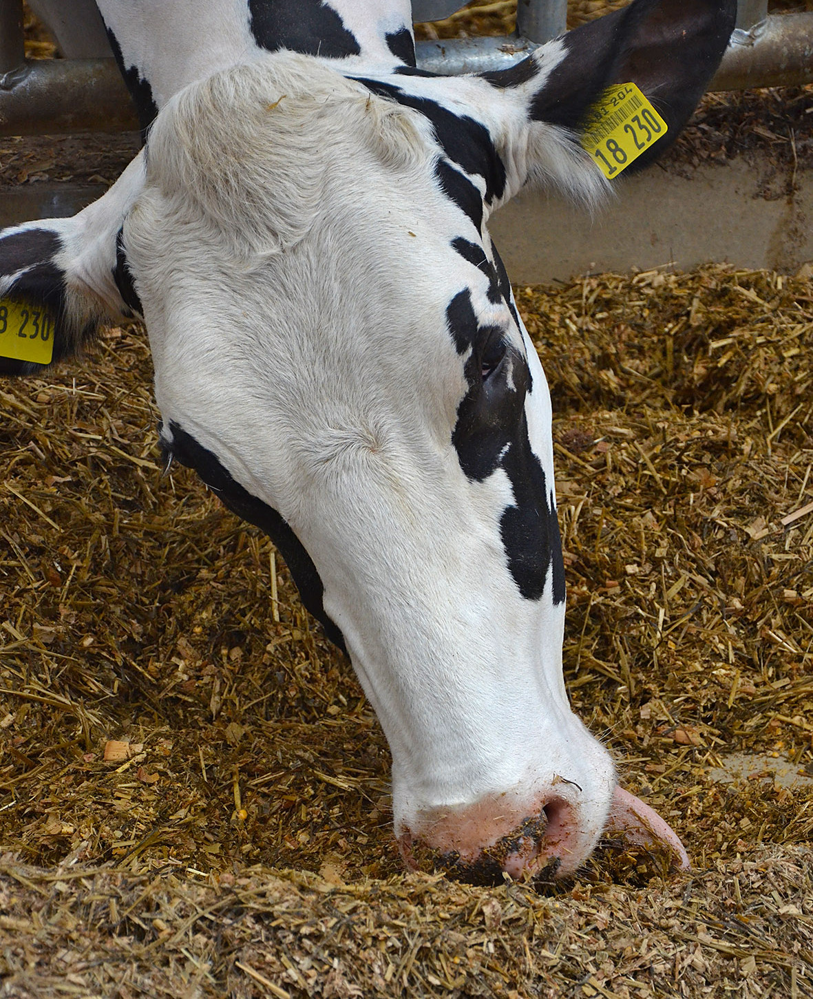 Forschung steht vor großen Herausforderungen - Bauernblatt Schleswig ...