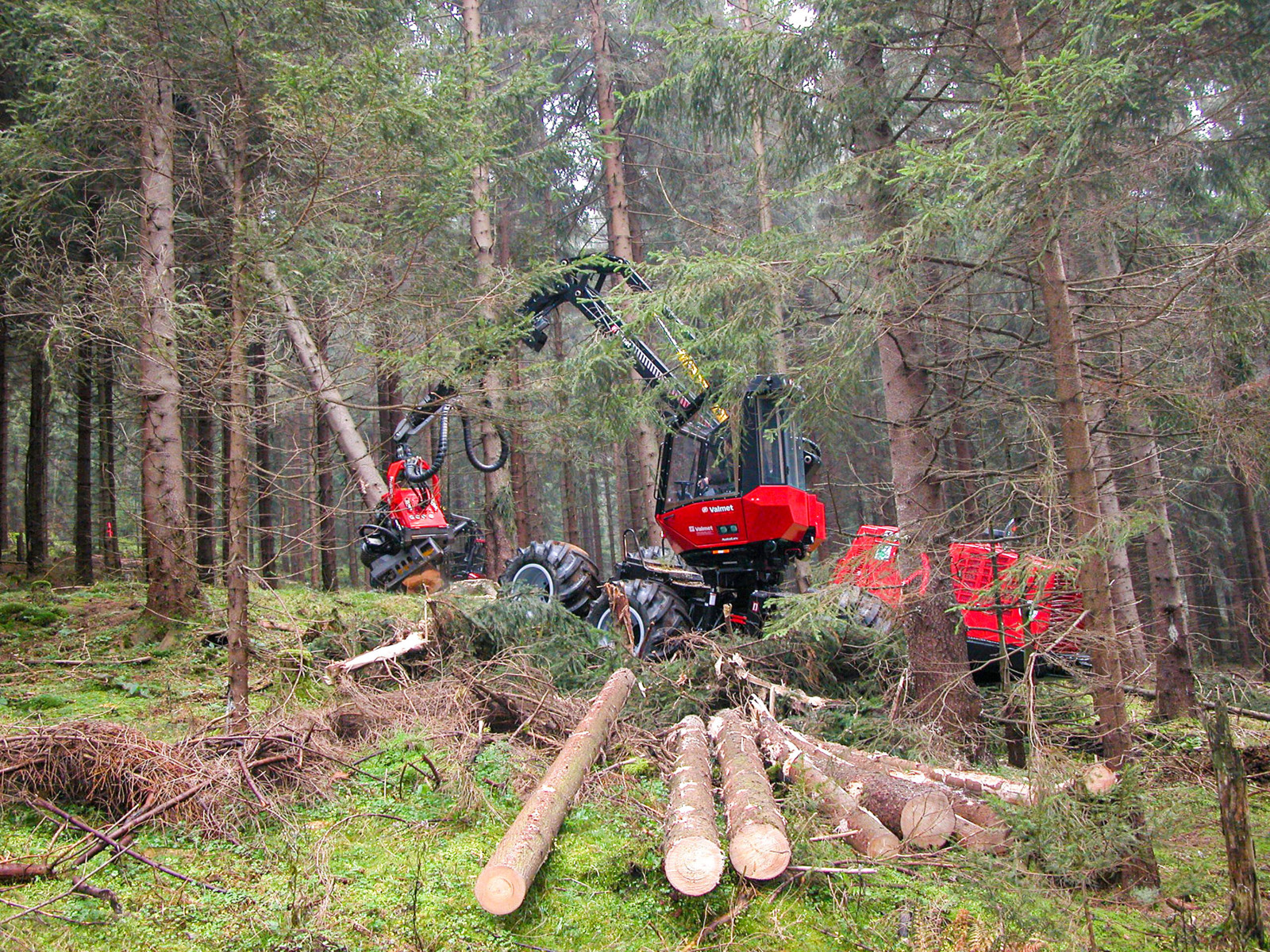 Bedienung hochkomplexer Forstmaschinen - Bauernblatt Schleswig-Holstein