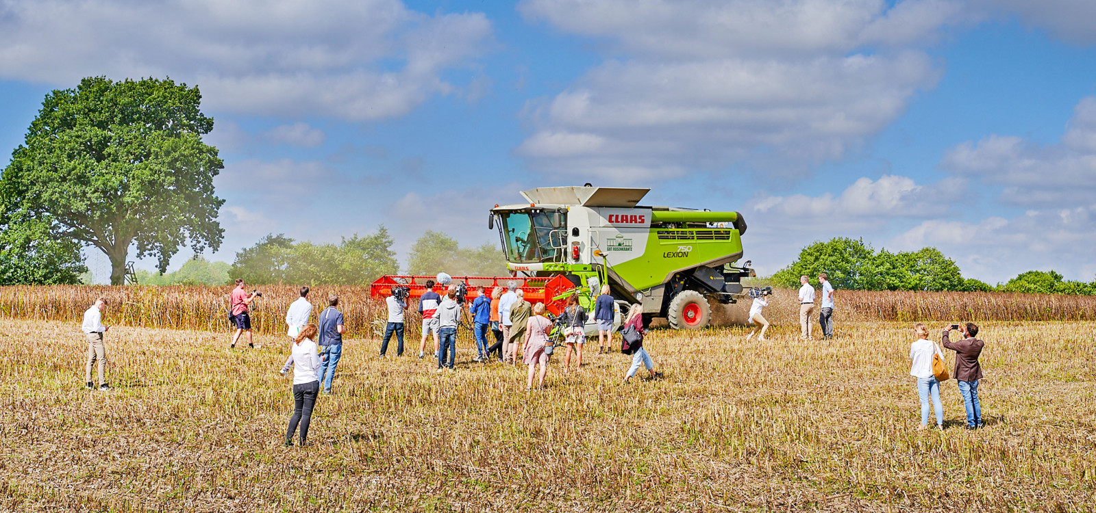 Hohe Erträge und Preise bei Getreide und Raps - Bauernblatt Schleswig ...