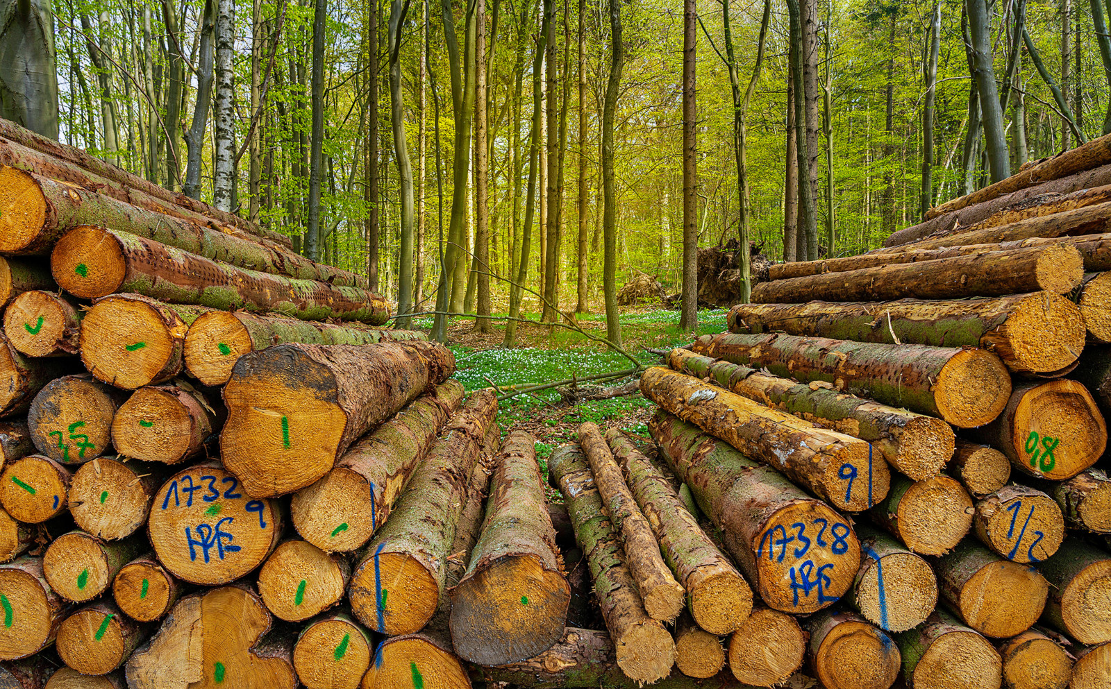 Trilog beschließt RED-III-Novelle - Bauernblatt Schleswig-Holstein