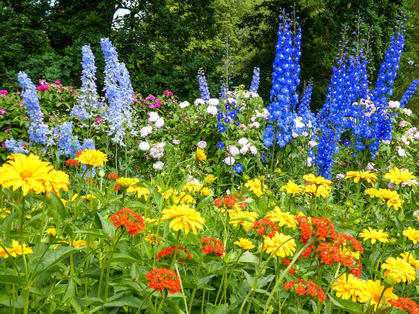 Webseite hilft bei der Auswahl von Stauden - Bauernblatt Schleswig-Holstein