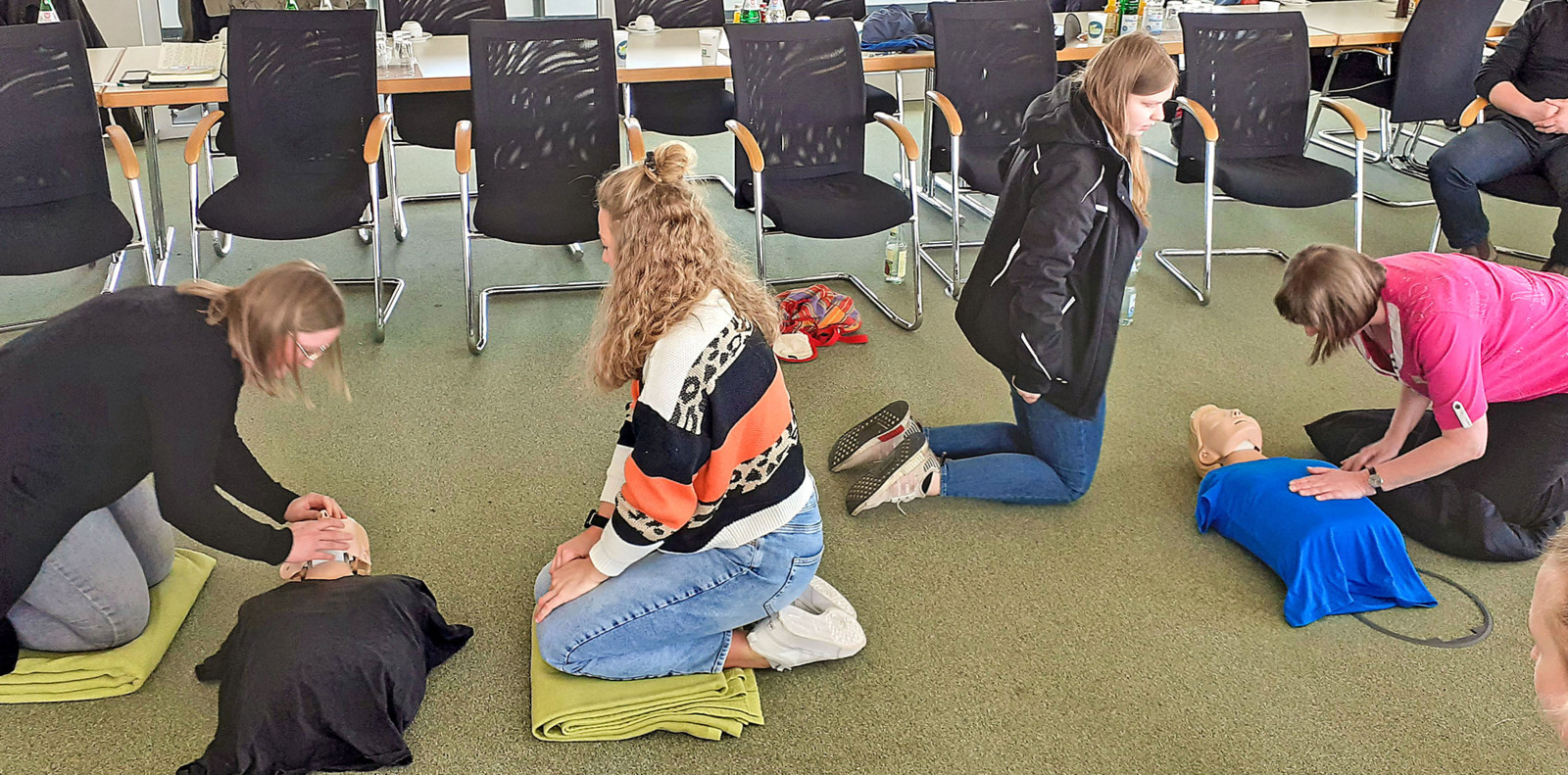 Reanimation mit Helene Fischer - Bauernblatt Schleswig-Holstein
