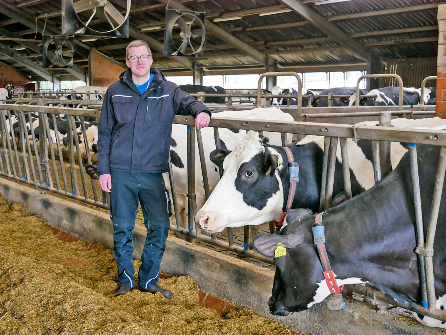 Kühe mögen keine Hitze - Bauernblatt Schleswig-Holstein