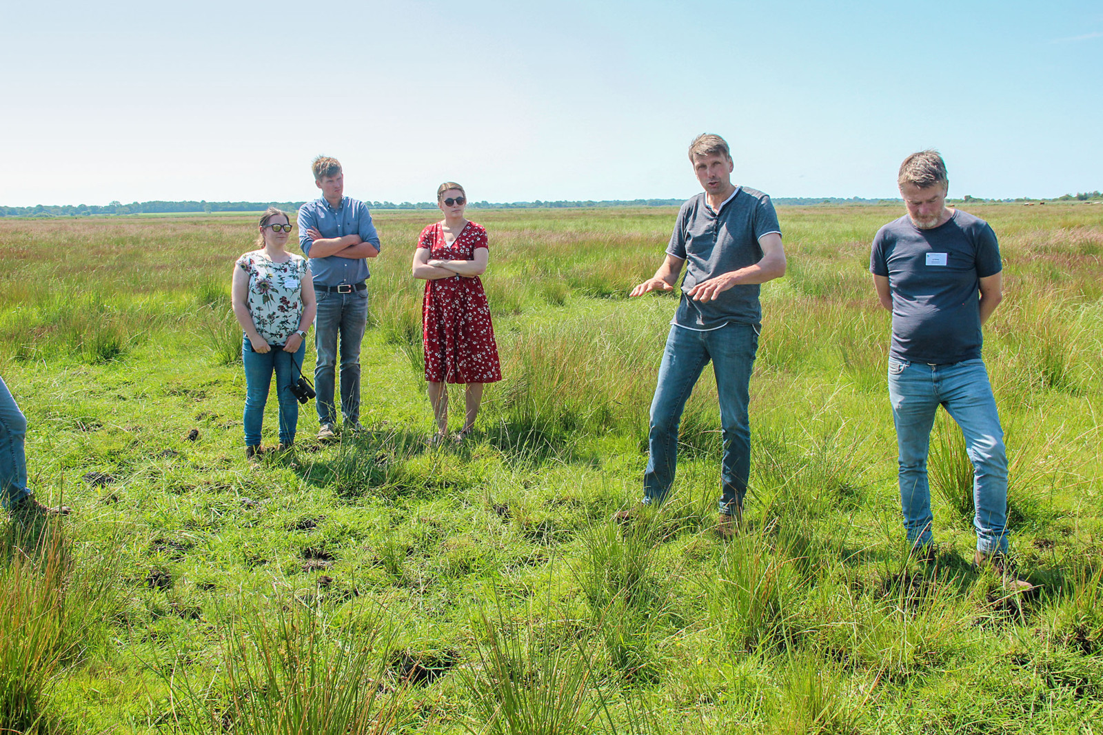 Weidewirtschaft auf nassem Boden - Bauernblatt Schleswig-Holstein