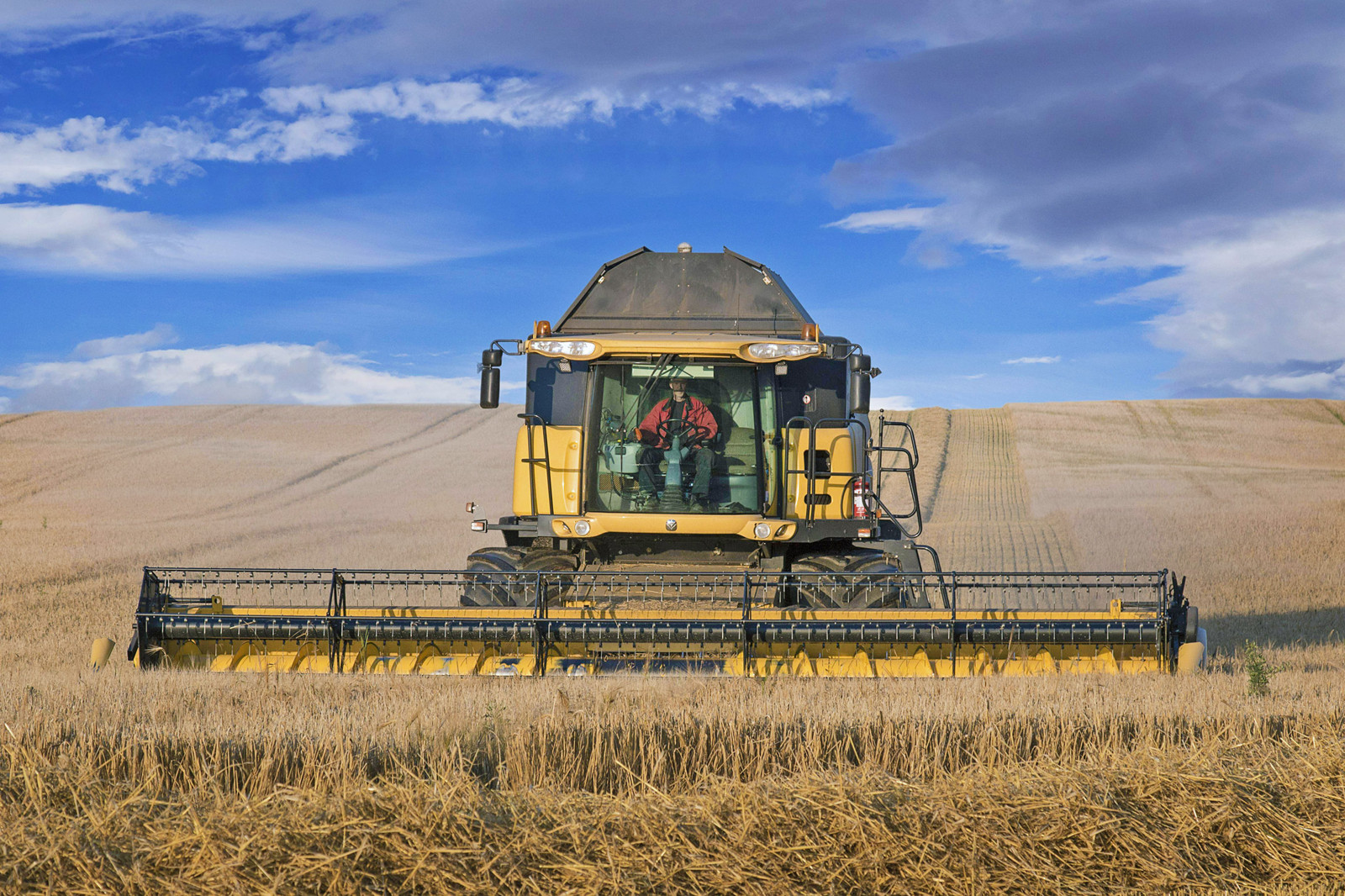 Die Ernte litt unter extremen Wettervoraussetzungen - Bauernblatt ...