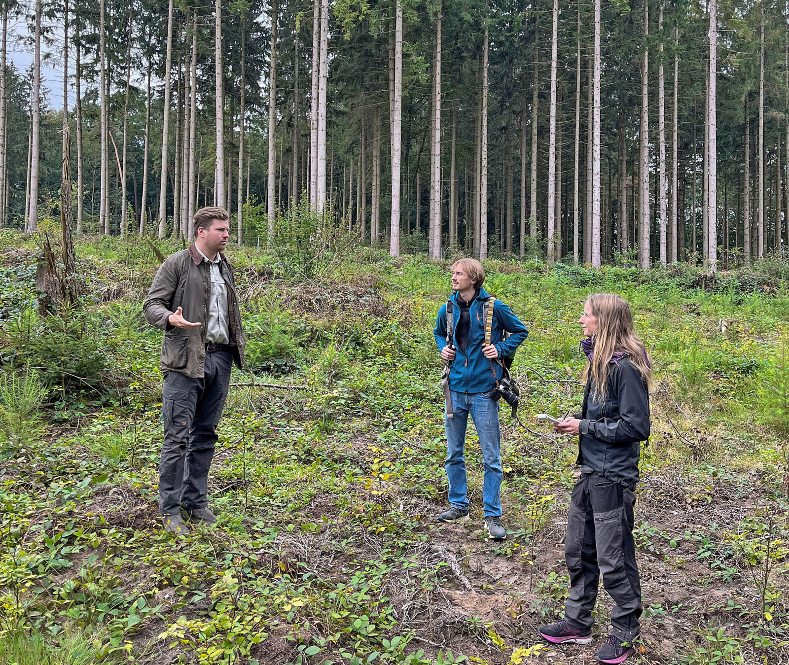 Wie ein klimaresilienter Mischwald entsteht - Bauernblatt Schleswig ...