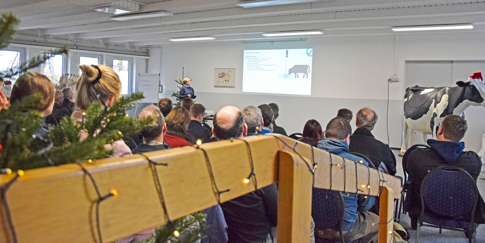 Rinderwissen und Punsch – Fachforen in Futterkamp - Bauernblatt ...